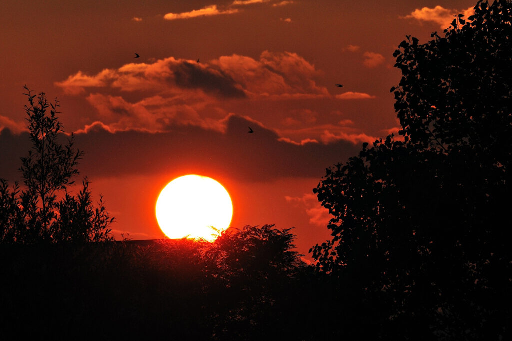 Depositphoto red sunset moon 1170 x 780 - Michael Feeley | Career ...